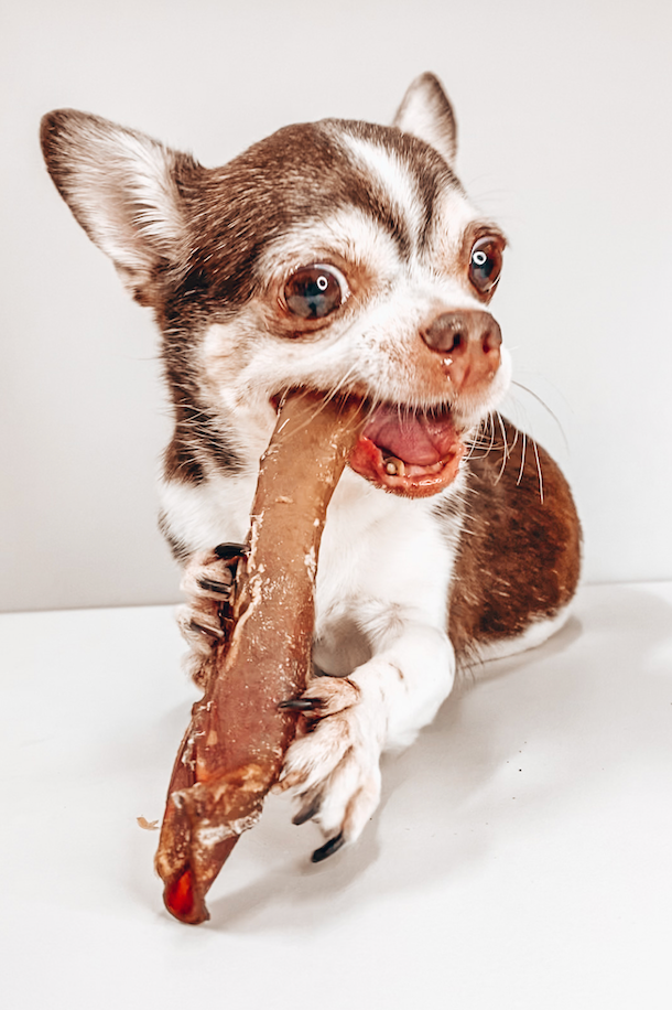 Beef Aorta – Barkeryon10th